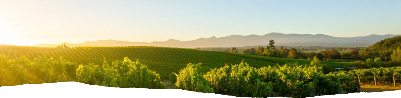 Moutere FMU | Freshwater from the mountains to the sea | Shape Tasman